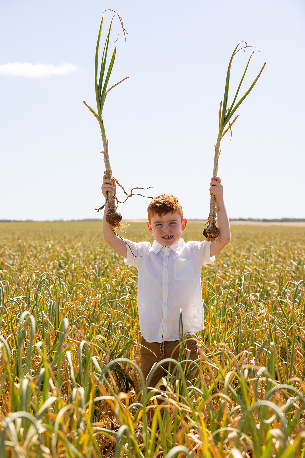 Contact – Australian Garlic