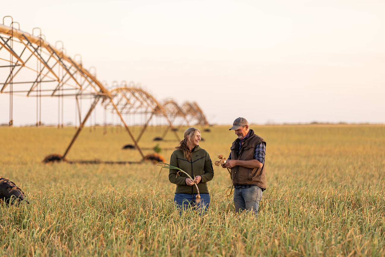 Buy Australian Garlic for Sale Online | Garlic Supplement Australia