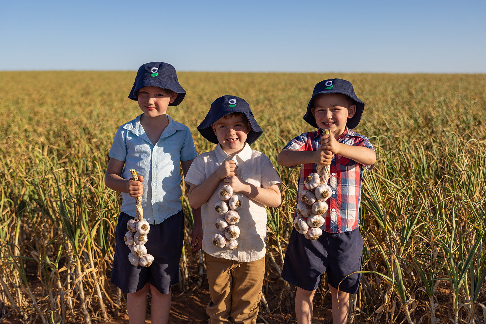 Contact – Australian Garlic