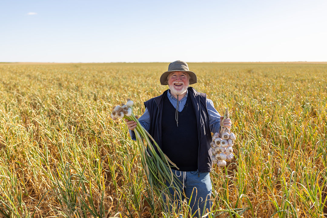 Buy Garlic Cloves Online | Australian Garlic