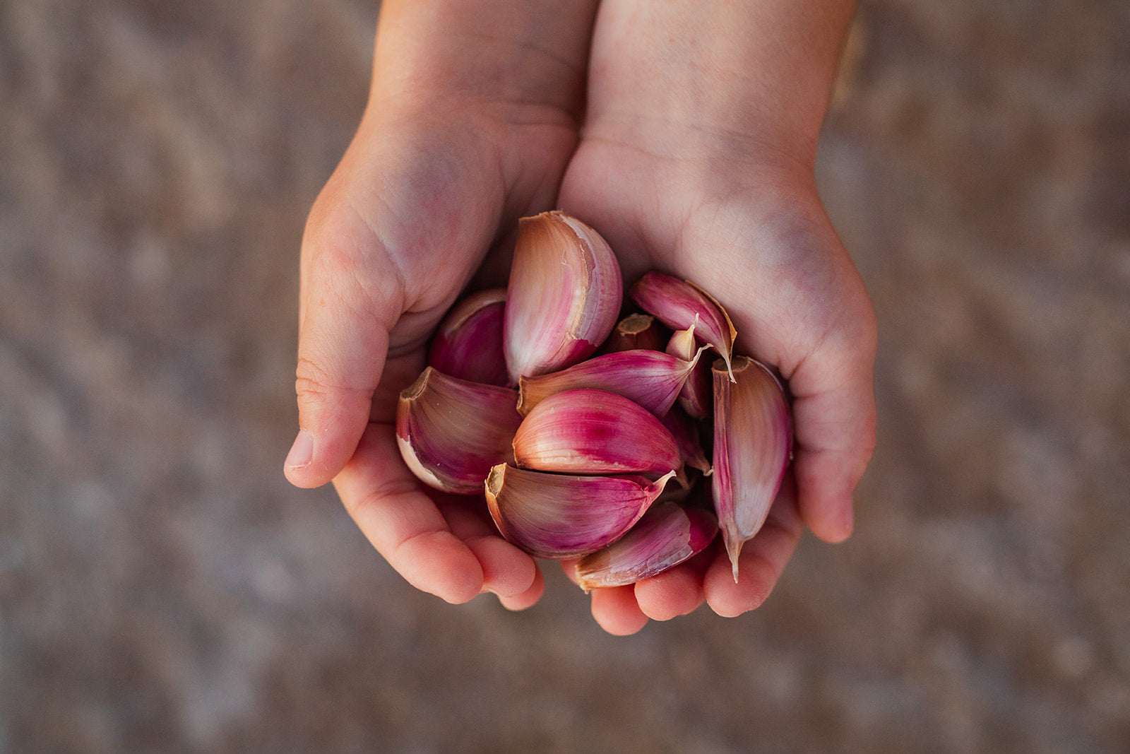 Buy Garlic Cloves Online | Australian Garlic