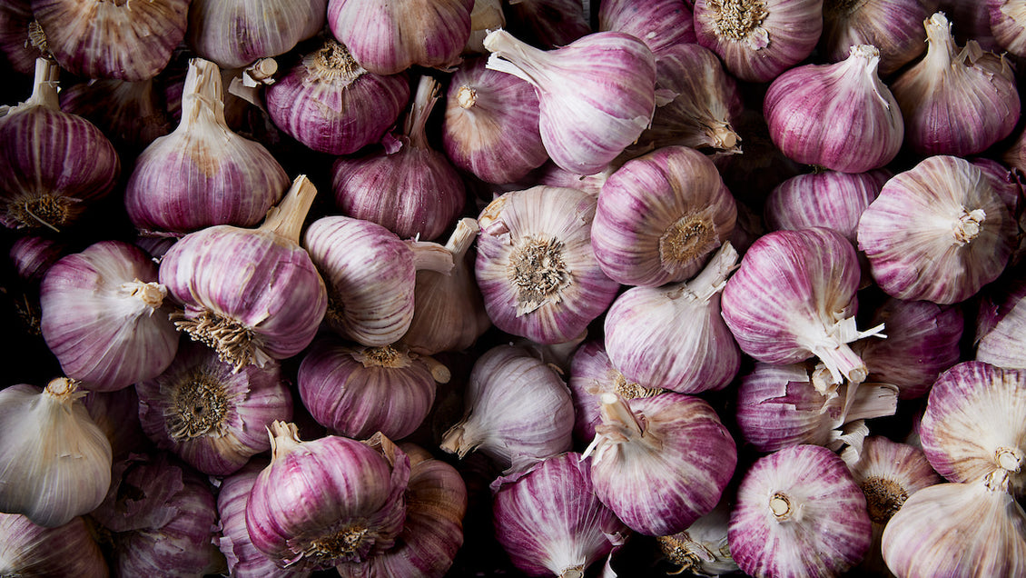 Who We Are – Australian Garlic
