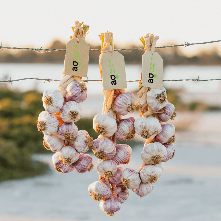 Australian Garlic