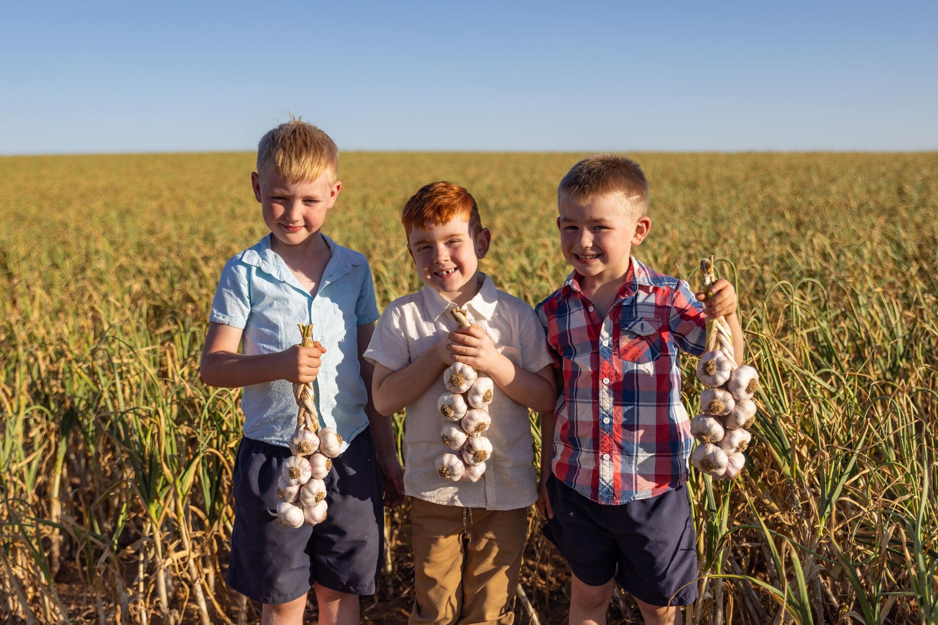 Buy Australian Garlic for Sale Online | Garlic Supplement Australia